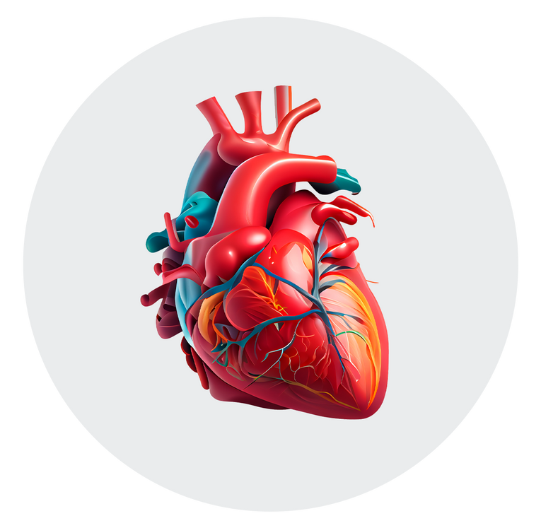 TechXR Holo Cube – TechXR Innovations Private Limited